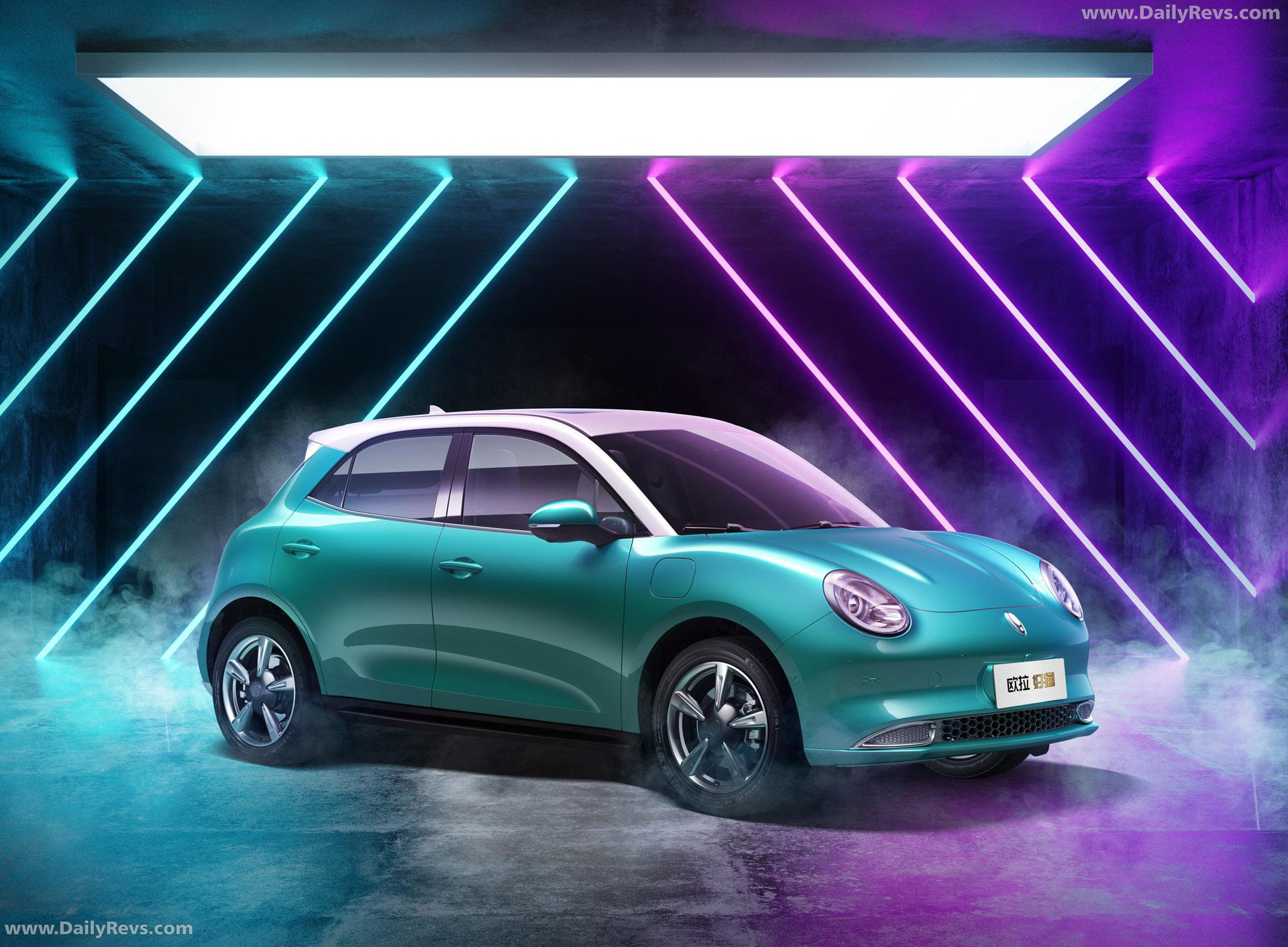 2021 ORA Good Cat - Stunning HD Photos, Videos, Specs, Features & Price ...