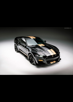 2022 Shelby Mustang GT500-H| DailyRevs.com - Stunning HD Photos, Videos ...